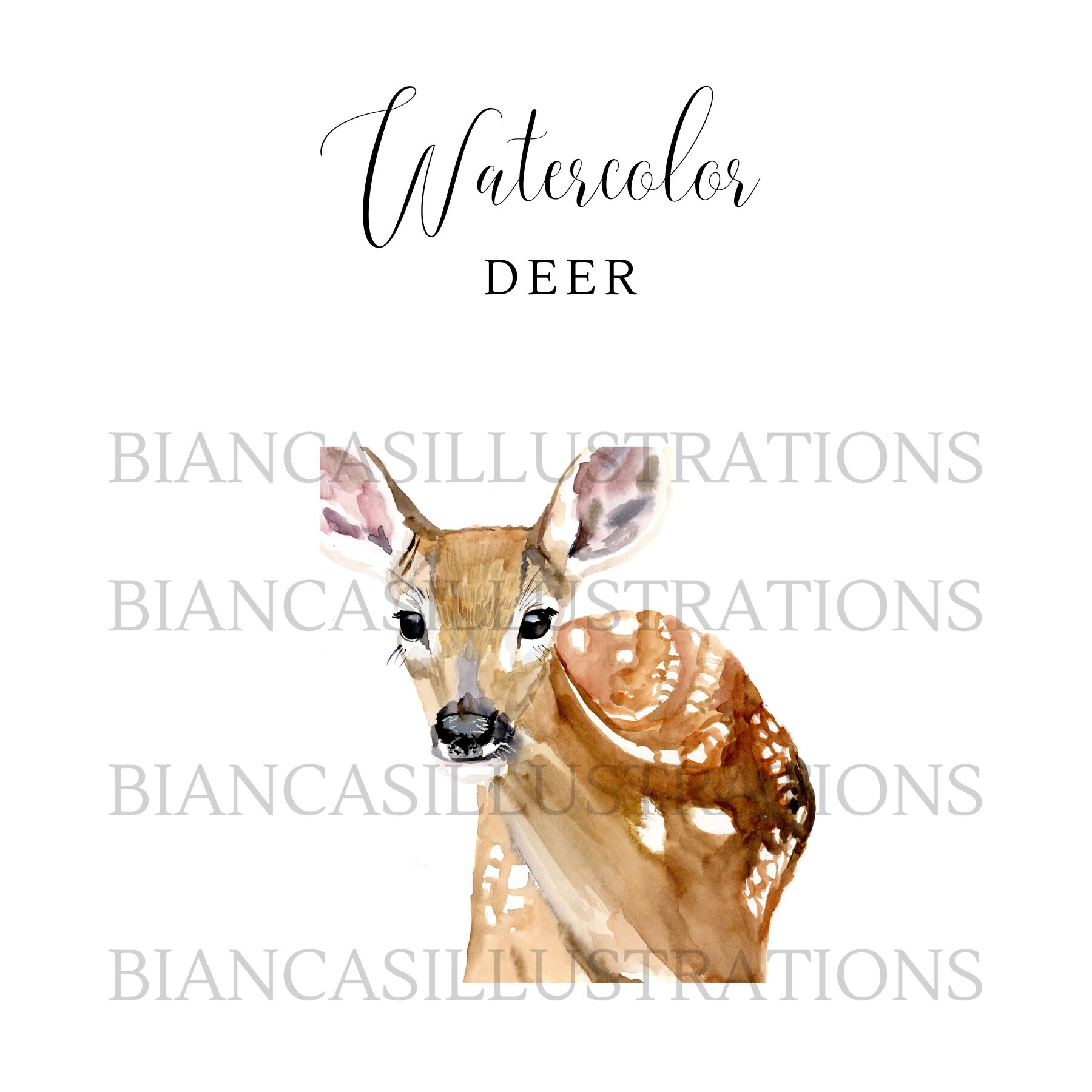 Deer Watercolor Clipart Hand Painted Illustration - Etsy