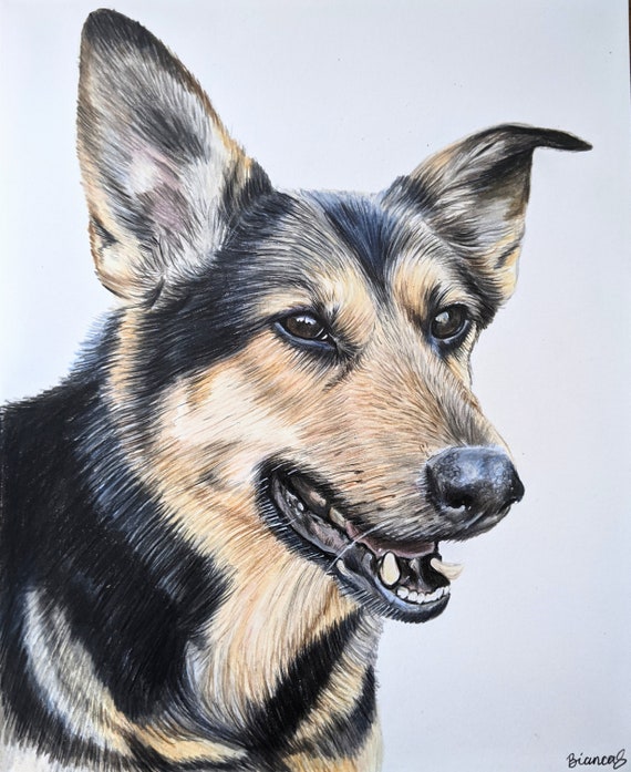 Realistic Pencil Portraits Dog Pencil Pet Portraits – Custom