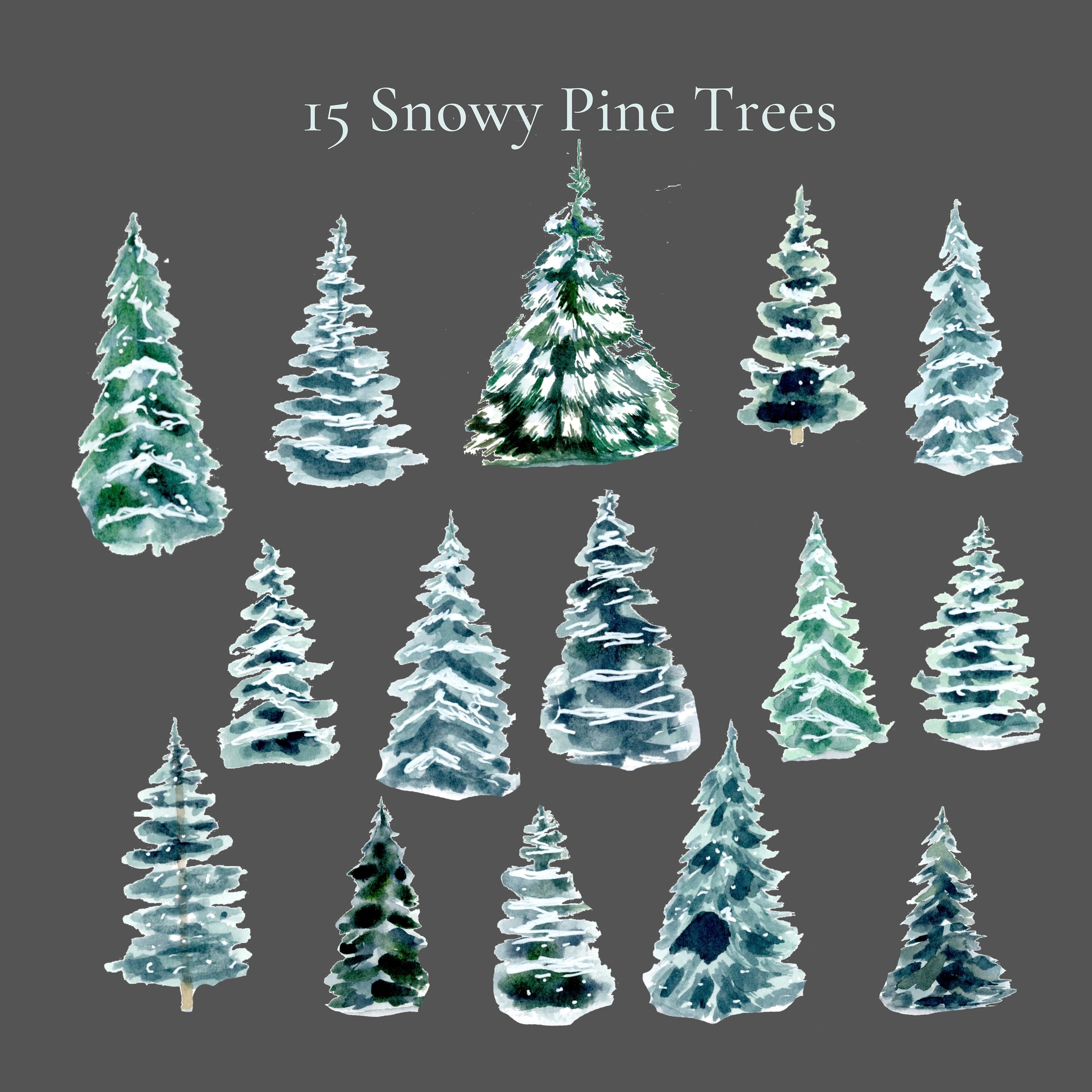 Pine Tree Drawing Snow
