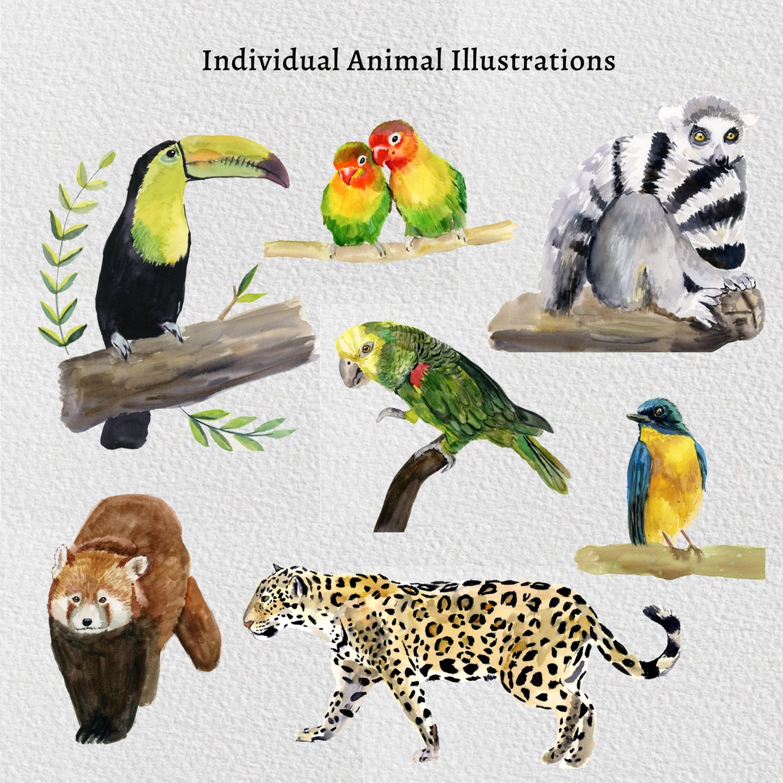 Rainforest Clipart Watercolor Rainforest Tropical Jungle | Etsy