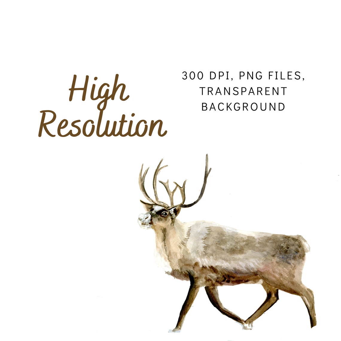 Deer Clipart Watercolor Deer Clipart Woodland Friends - Etsy