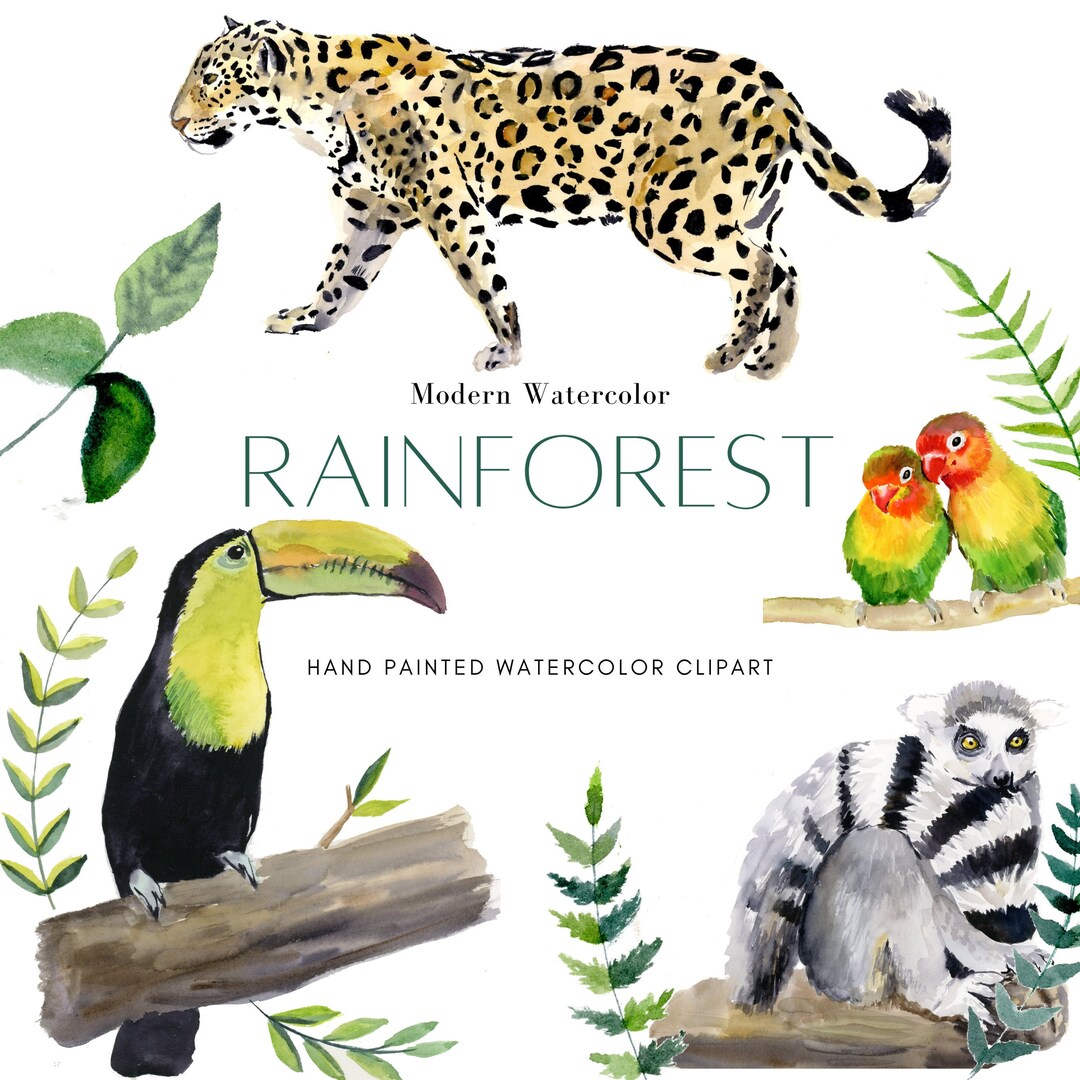 Rainforest Clipart, Watercolor Rainforest, Tropical, Jungle Collection ...