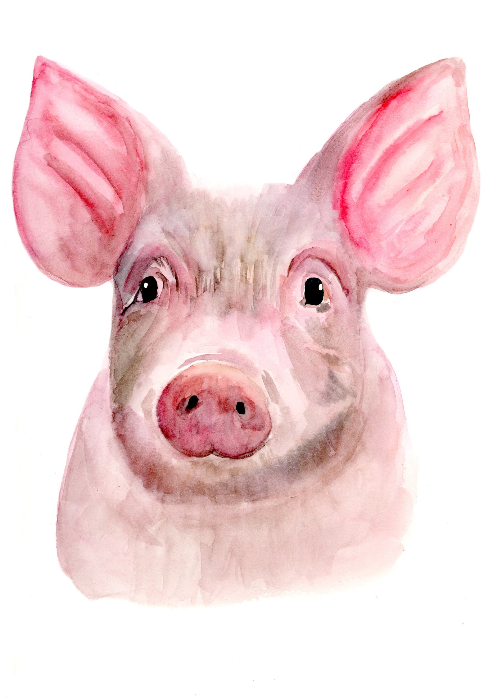 ORIGINAL Watercolor Pink Pig Painting Farm Animal Artwork - Etsy