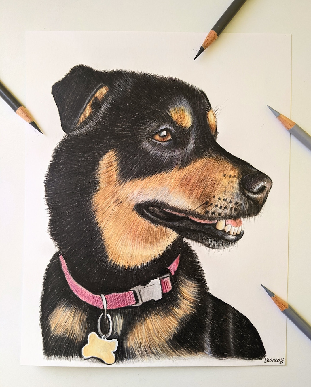Custom Colored Pencil Pet Portraits, Realistic Dog and Cat Commissions ...