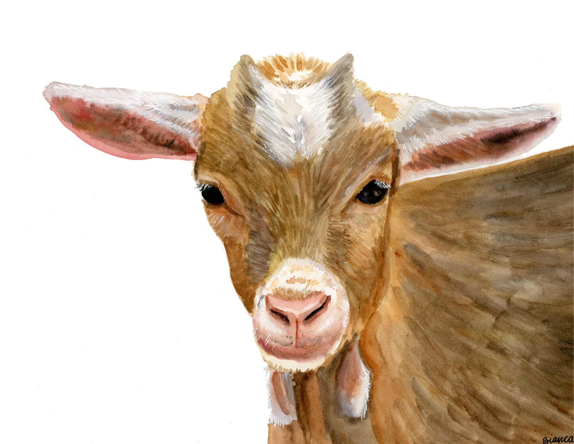 Goat PRINT, Watercolor Goat Artwork, Farm Animals Nursery Room Decor, 8 ...