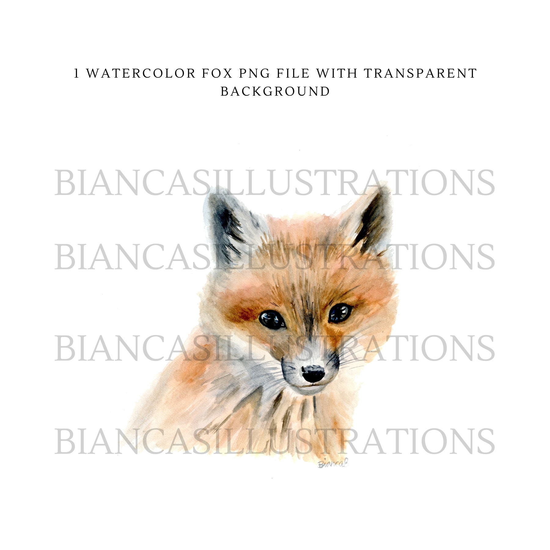 Fox Cub Watercolor Clipart Hand Painted Illustration - Etsy