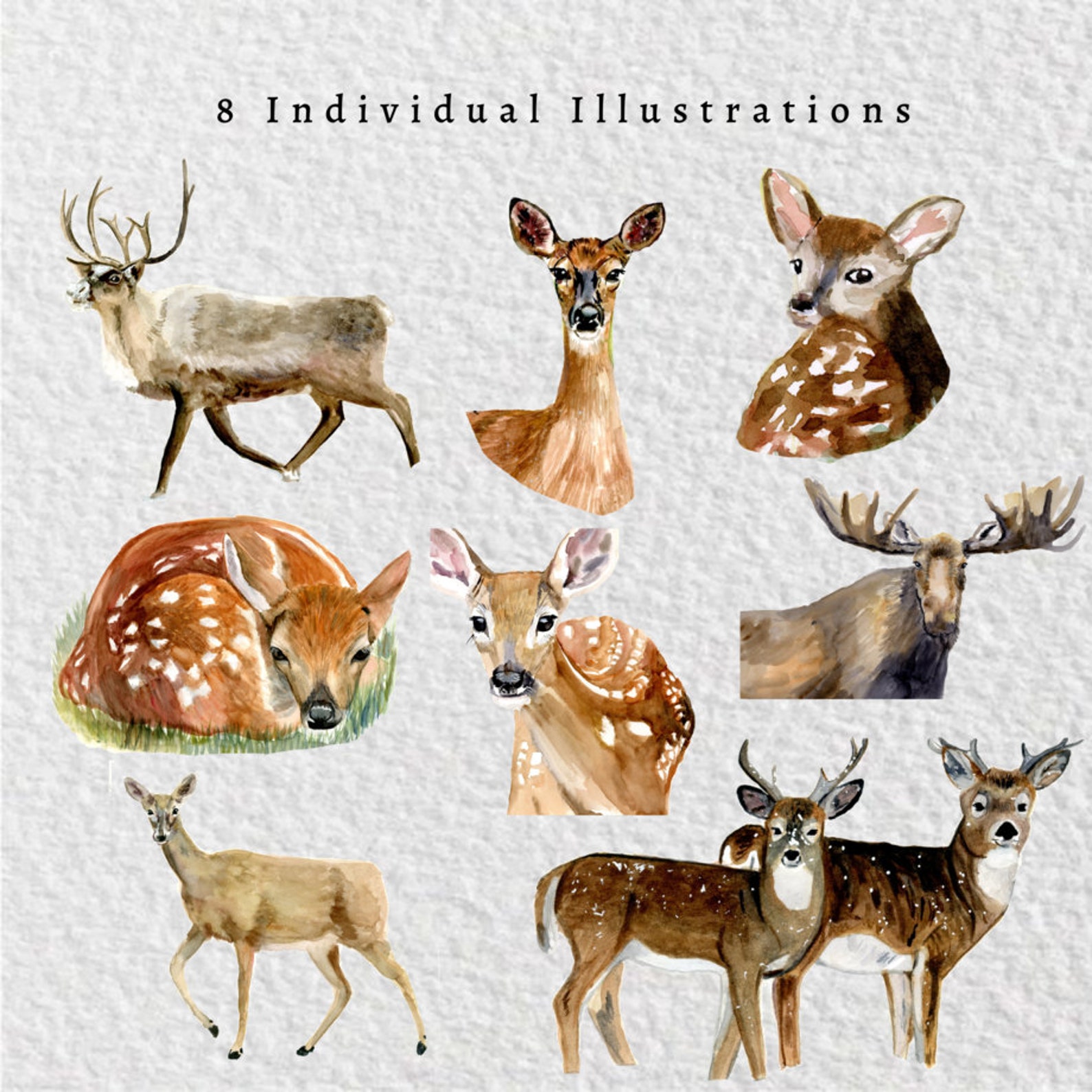 Deer Clipart, Watercolor Deer Clipart, Woodland Friends, Instant ...