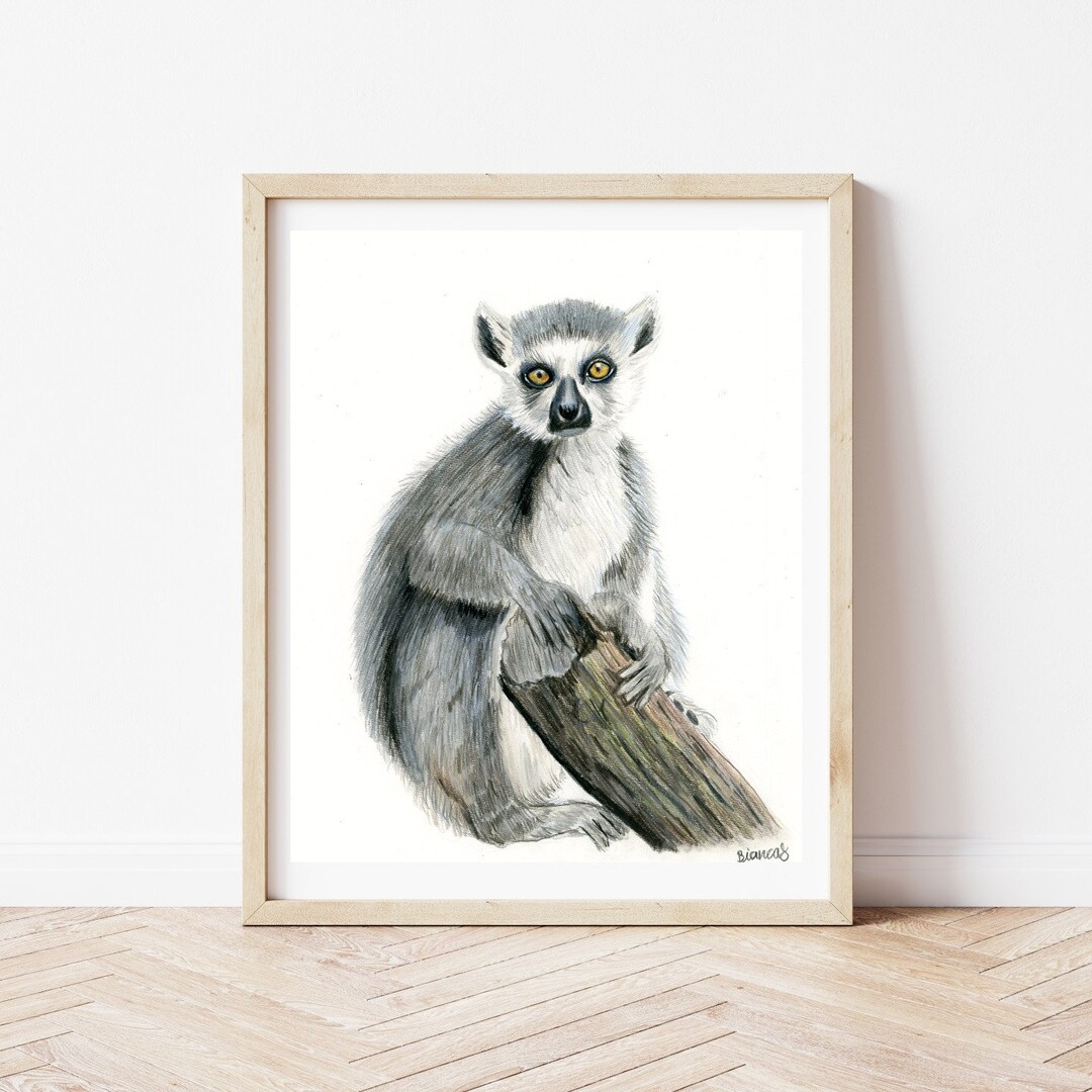Lemur Drawing | Lemur Artwork | Hand Drawn | Colored Pencil ...
