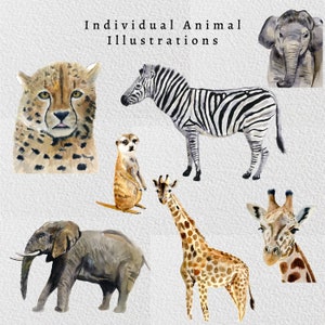 African Wildlife Clipart, Wild Animals of Africa Illustrations, PNG ...