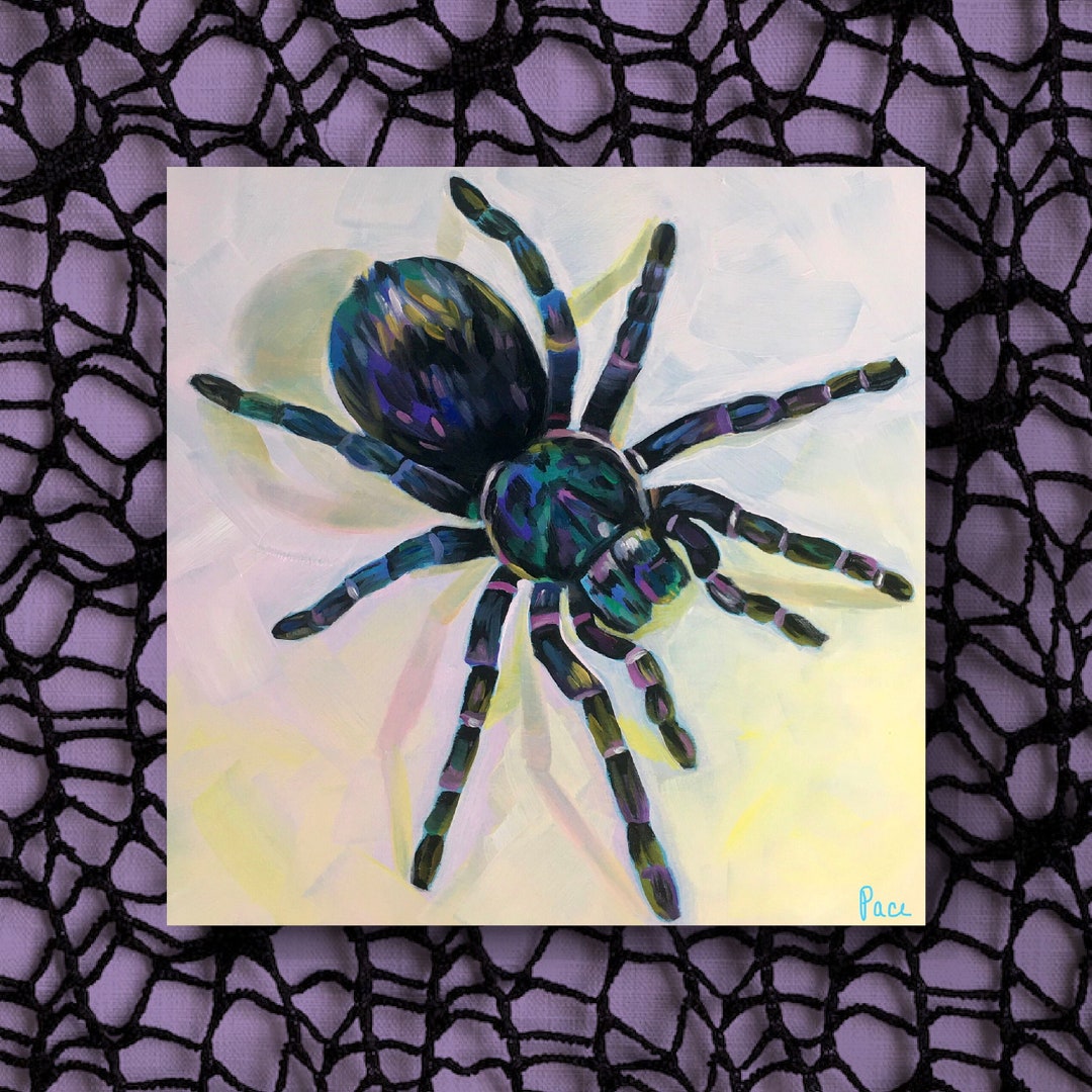 Tarantula Spider Painting, Oil on 6x6 Inch Cradled Wood Panel - Etsy