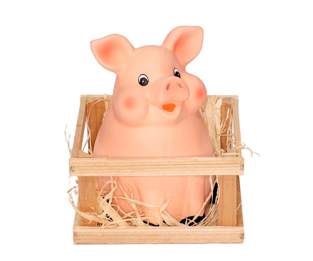 B-ware Piggy Bank in the Enclosure Hand Painted Piggy Bank in the ...