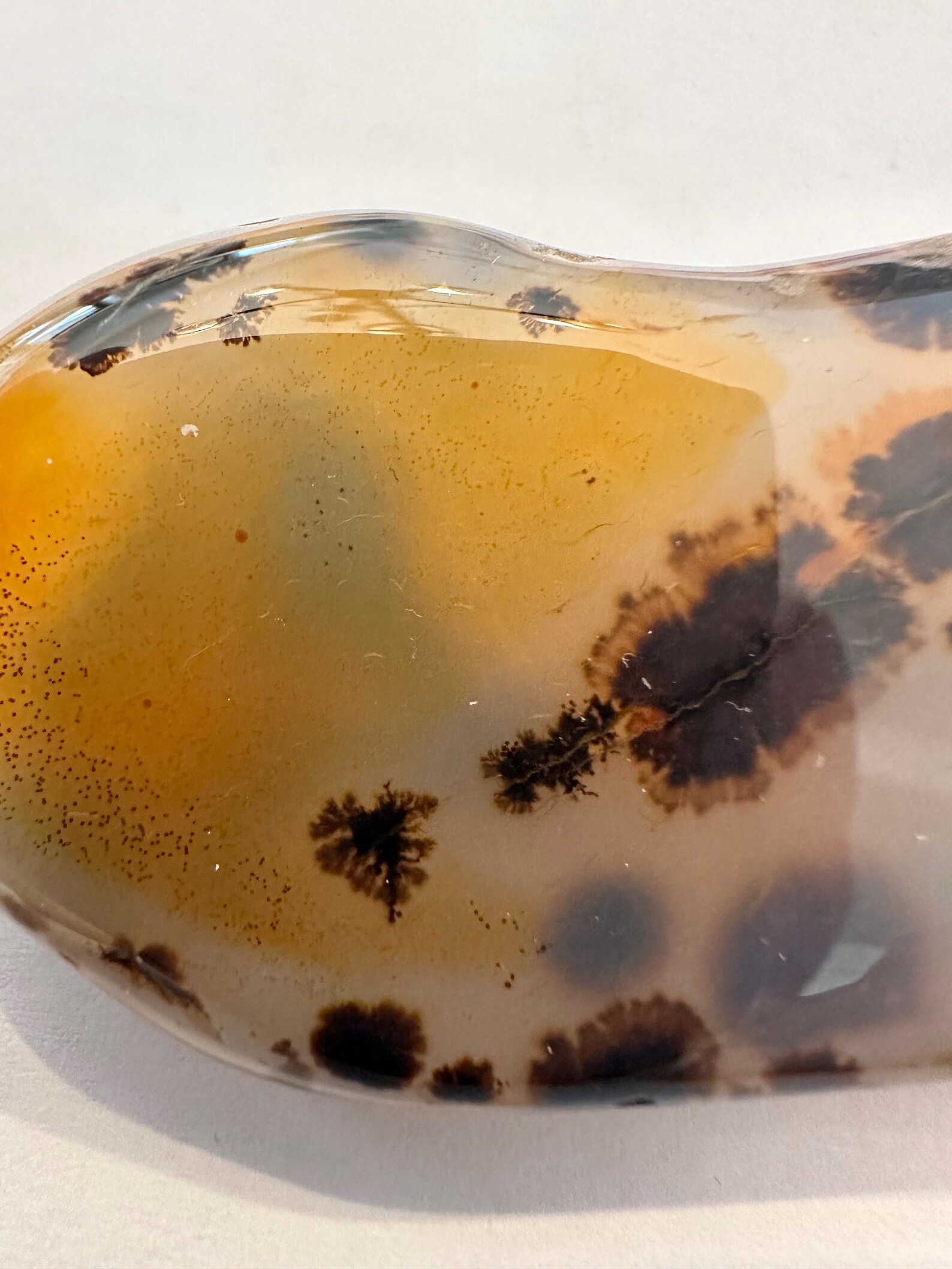 Montana Moss Agate Tumbled for Display - Etsy