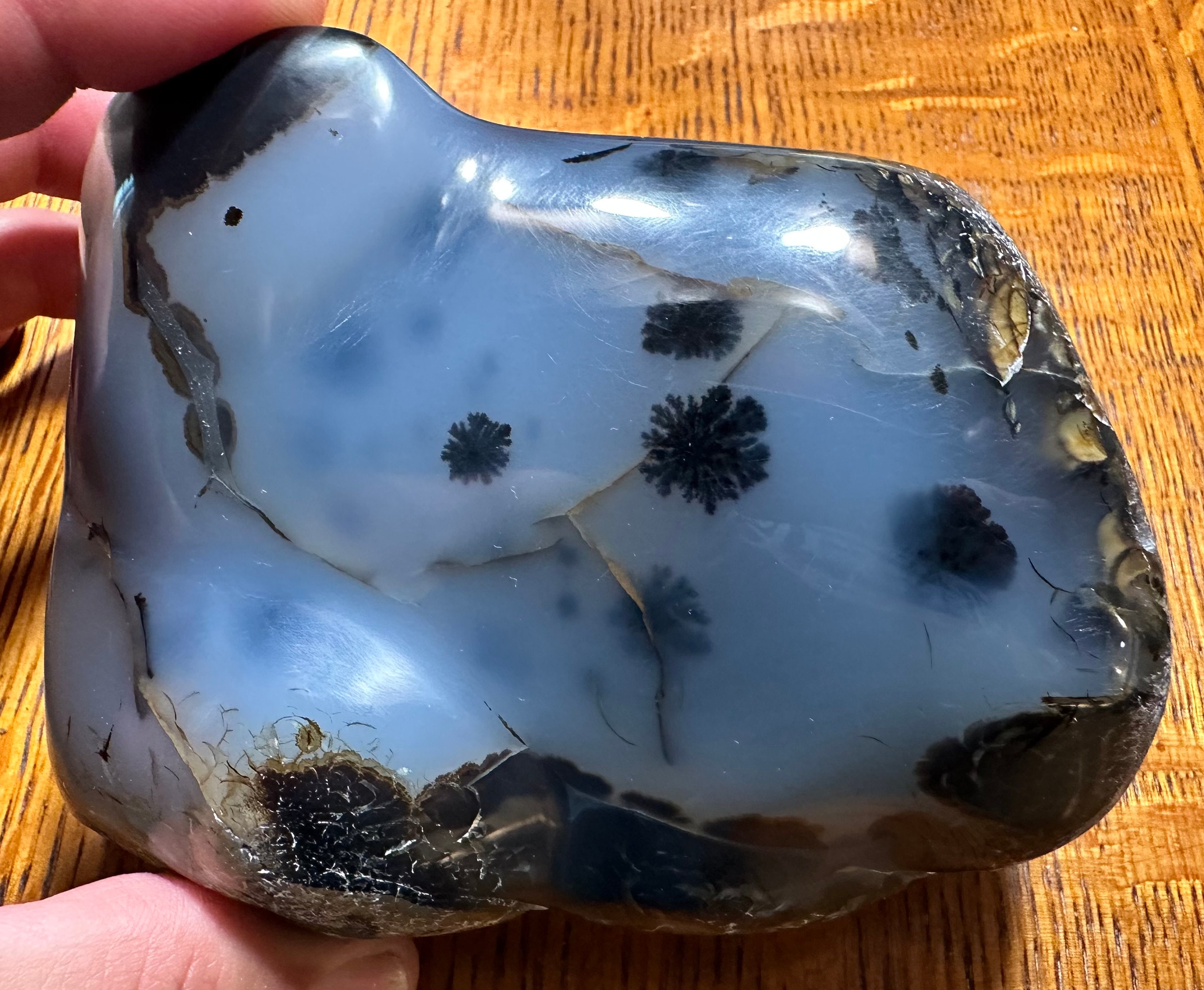 Montana Moss Agate Carving by Tom Harmon - Etsy