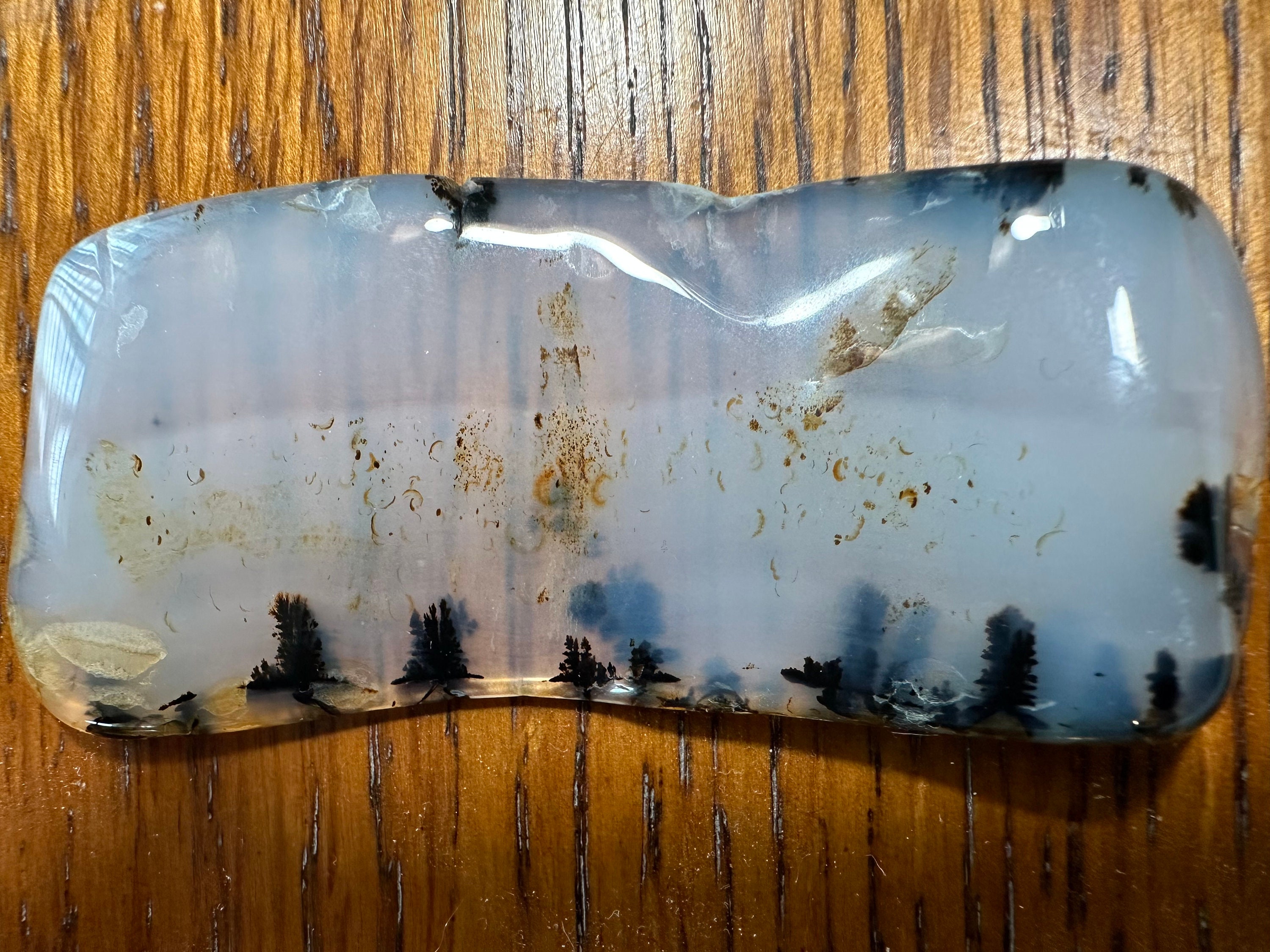 Montana Moss Agate Tumbled - Etsy