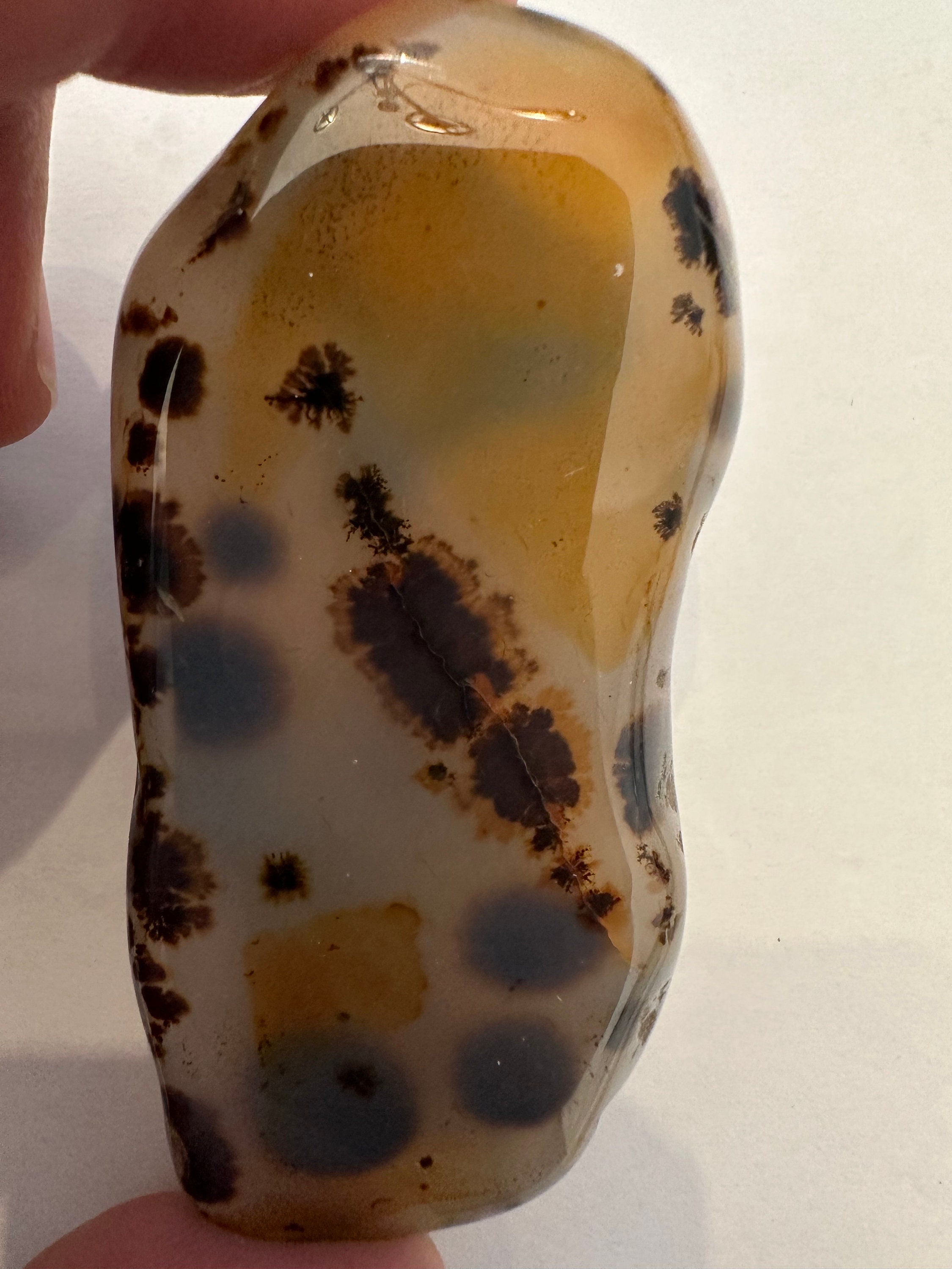 Montana Moss Agate Tumbled for Display - Etsy