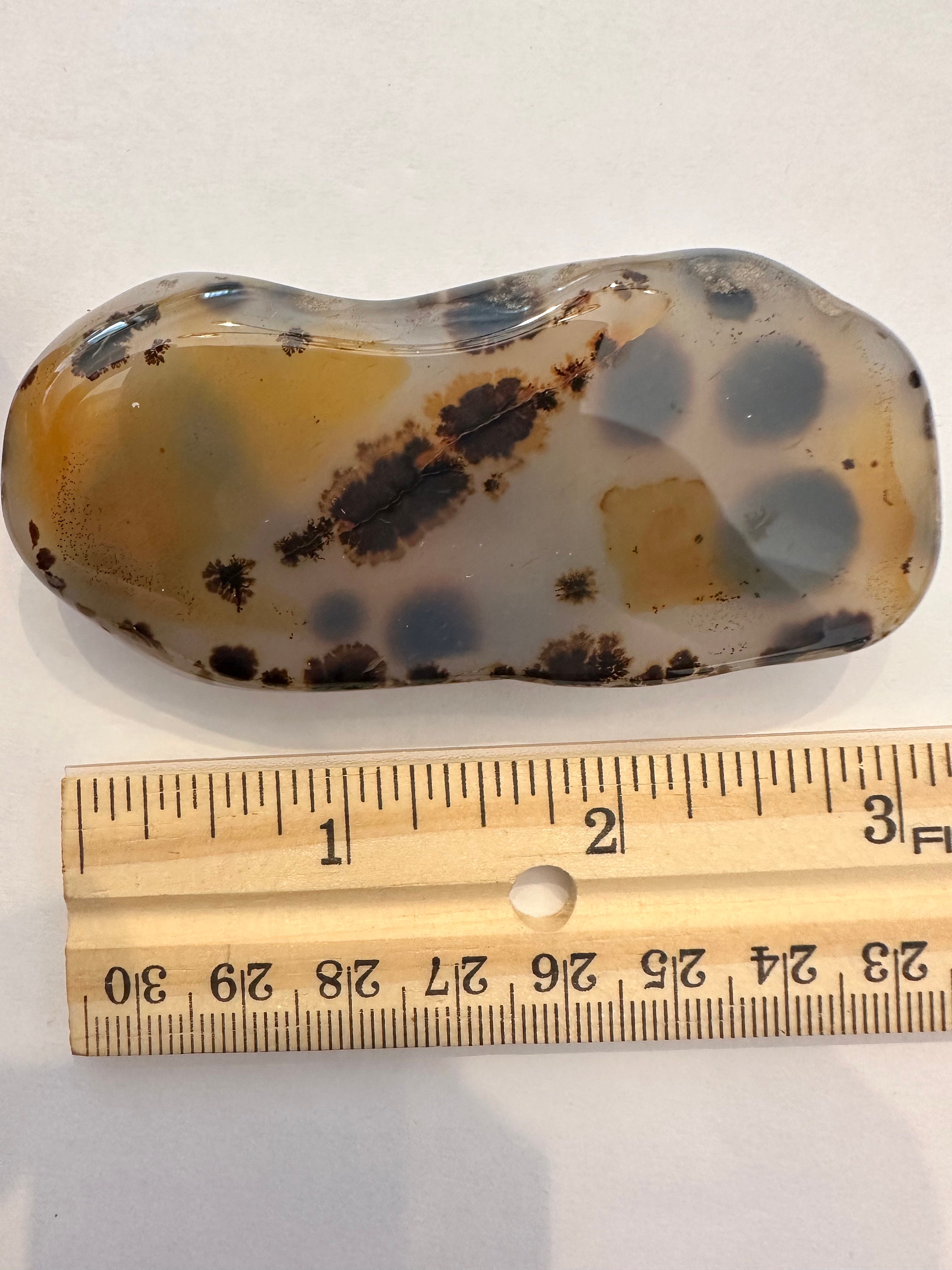 Montana Moss Agate Tumbled for Display - Etsy