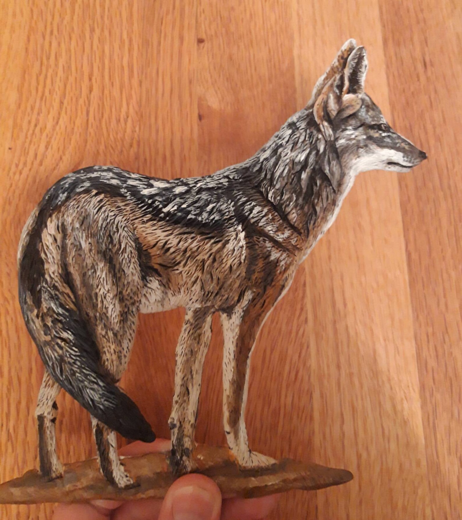 Jackal Sculptural Relief Display Piece - Etsy