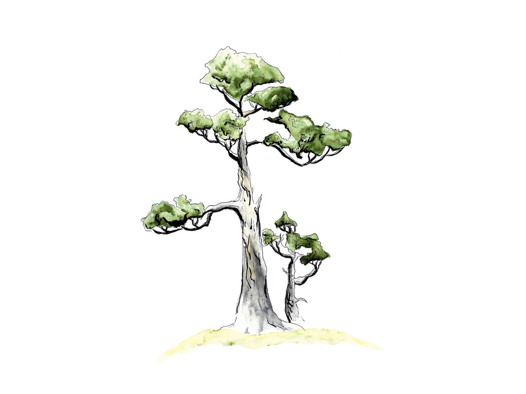 Bonsai Tree Soju Style - Digital Print, Watercolor, Bonsai Print, Tree ...