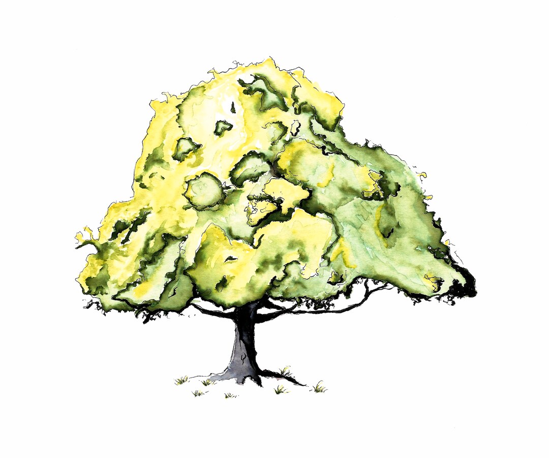 Field Maple Tree - Digital Print, Watercolor, Tree, Tree Art, Tree ...