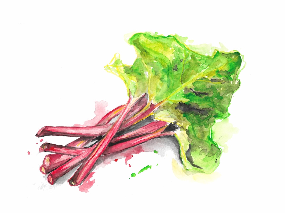 Rhubarb Painting - Digital Print, Watercolor, Vegetable Art, Download ...