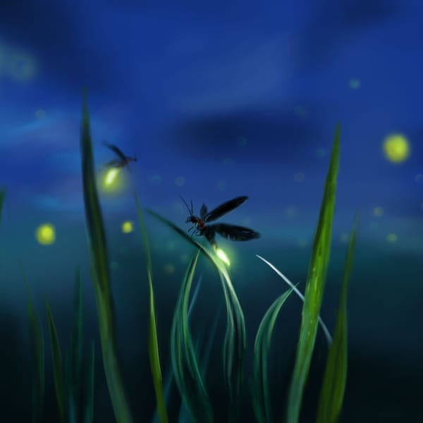 Firefly Painting - Etsy