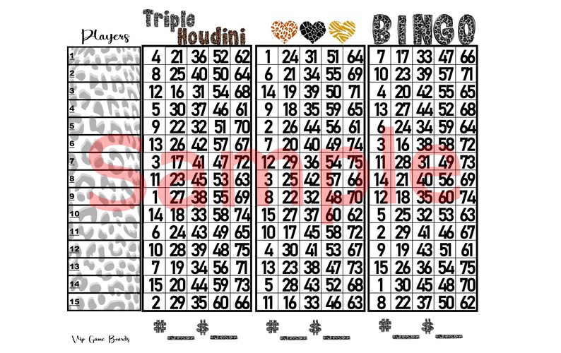 Triple Houdini Bingo 3-1, 15 Lines, 75 BALL, Mixed Numbers - Etsy
