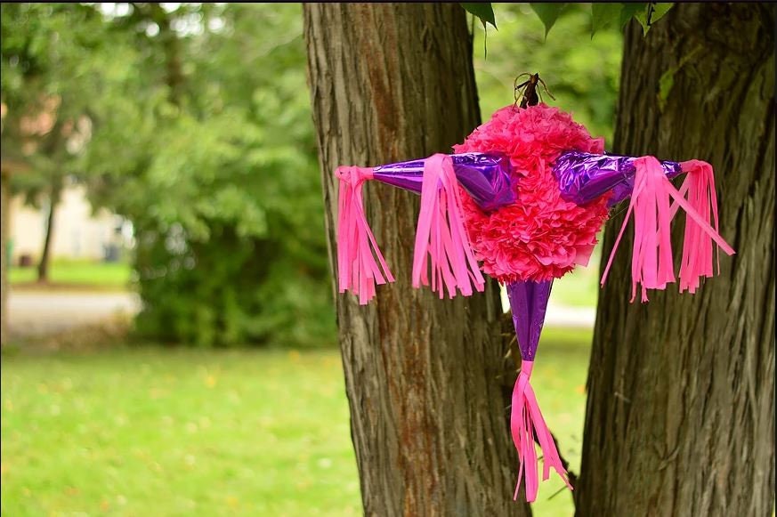 Pink Piñata - Etsy