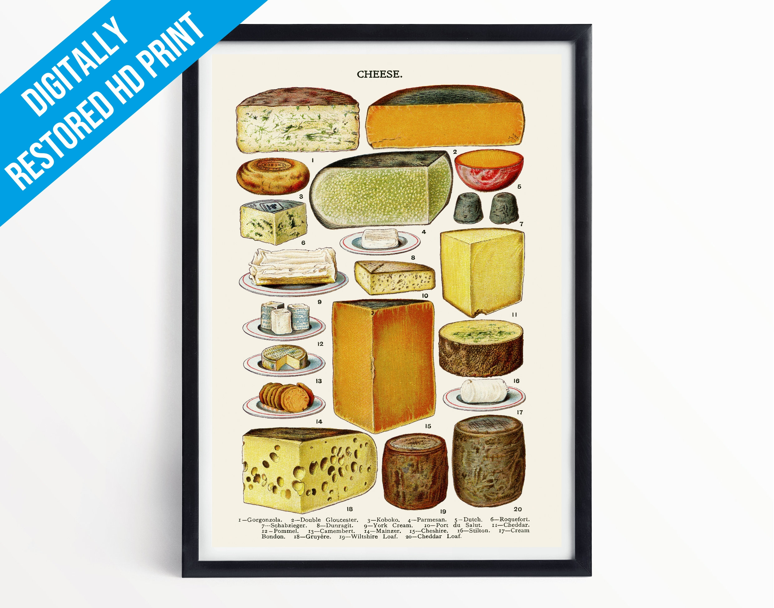 Vintage Cheese Illustration