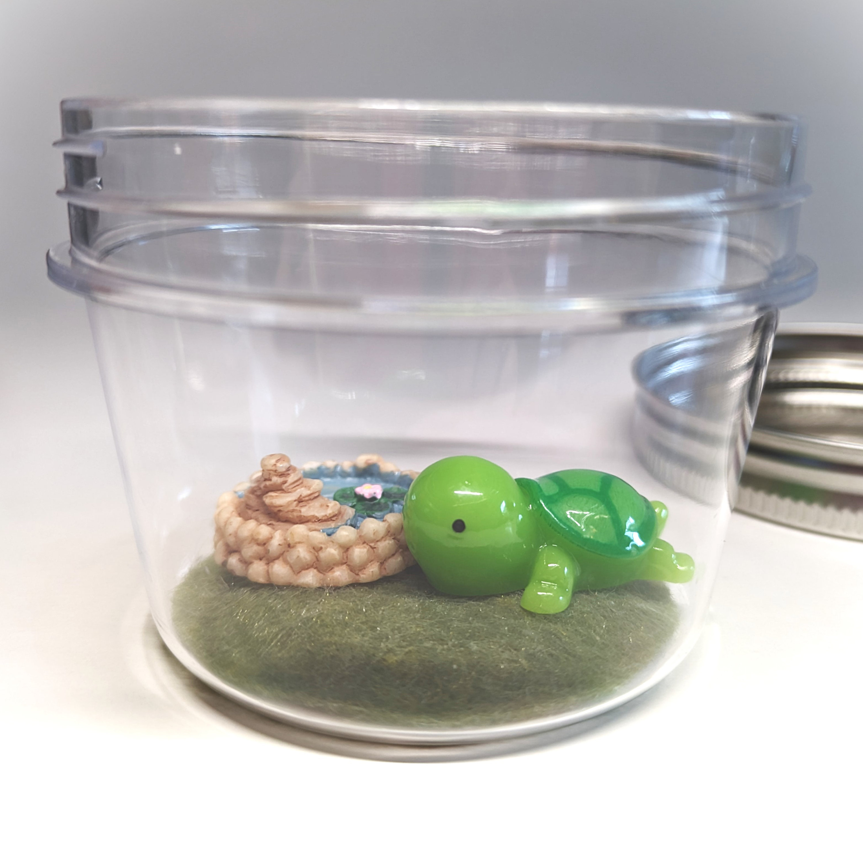 Desk Pet Turtle, Desk Buddy, Desk Friend, Pocket Pet, Cute Baby Turtle ...