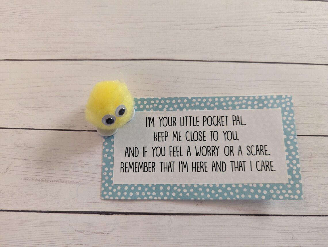 Set of 5 Pocket Pals With Poems, Worry Critters, Warm Fuzzy Friends ...