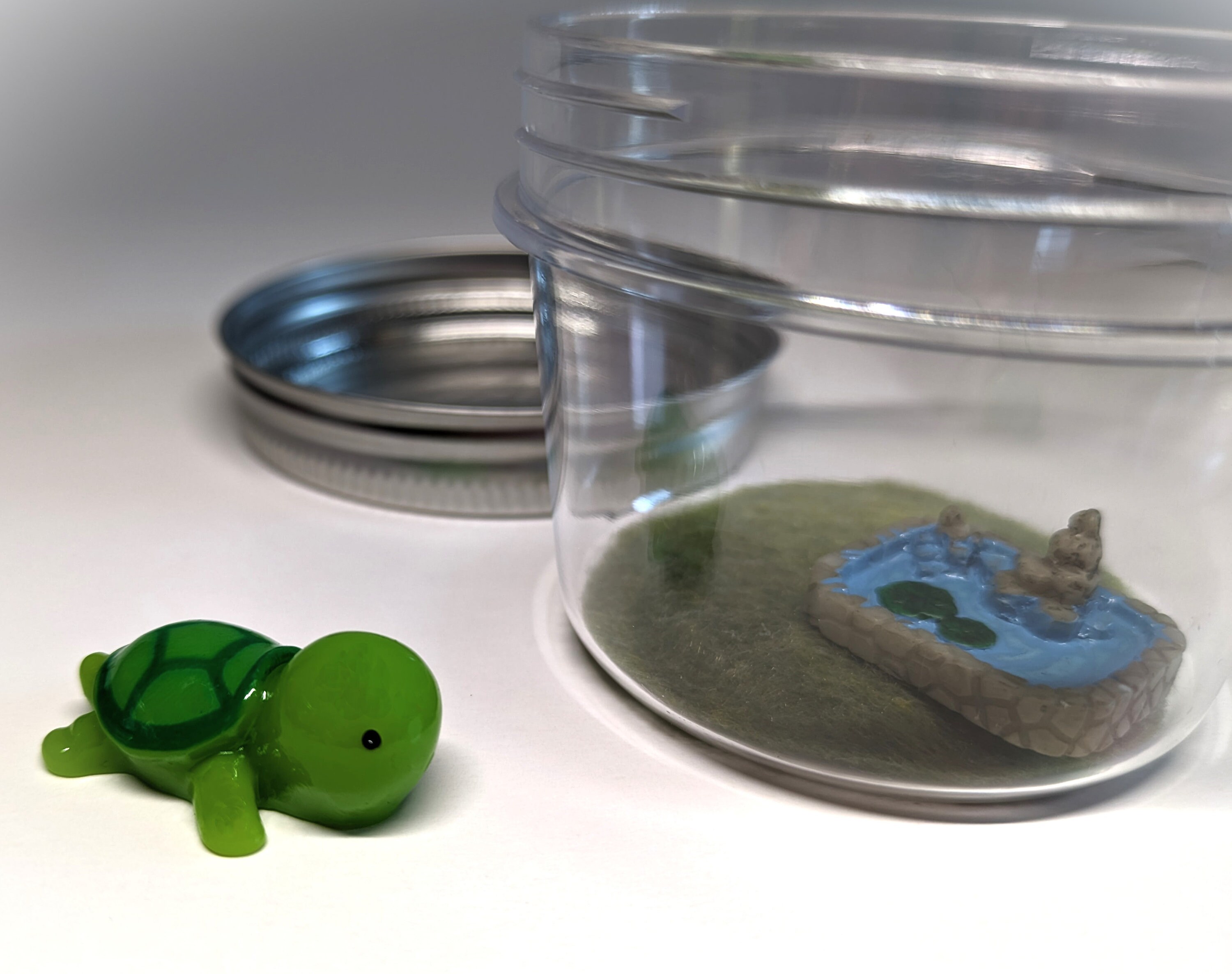 Desk Pet Turtle, Desk Buddy, Desk Friend, Pocket Pet, Cute Baby Turtle ...