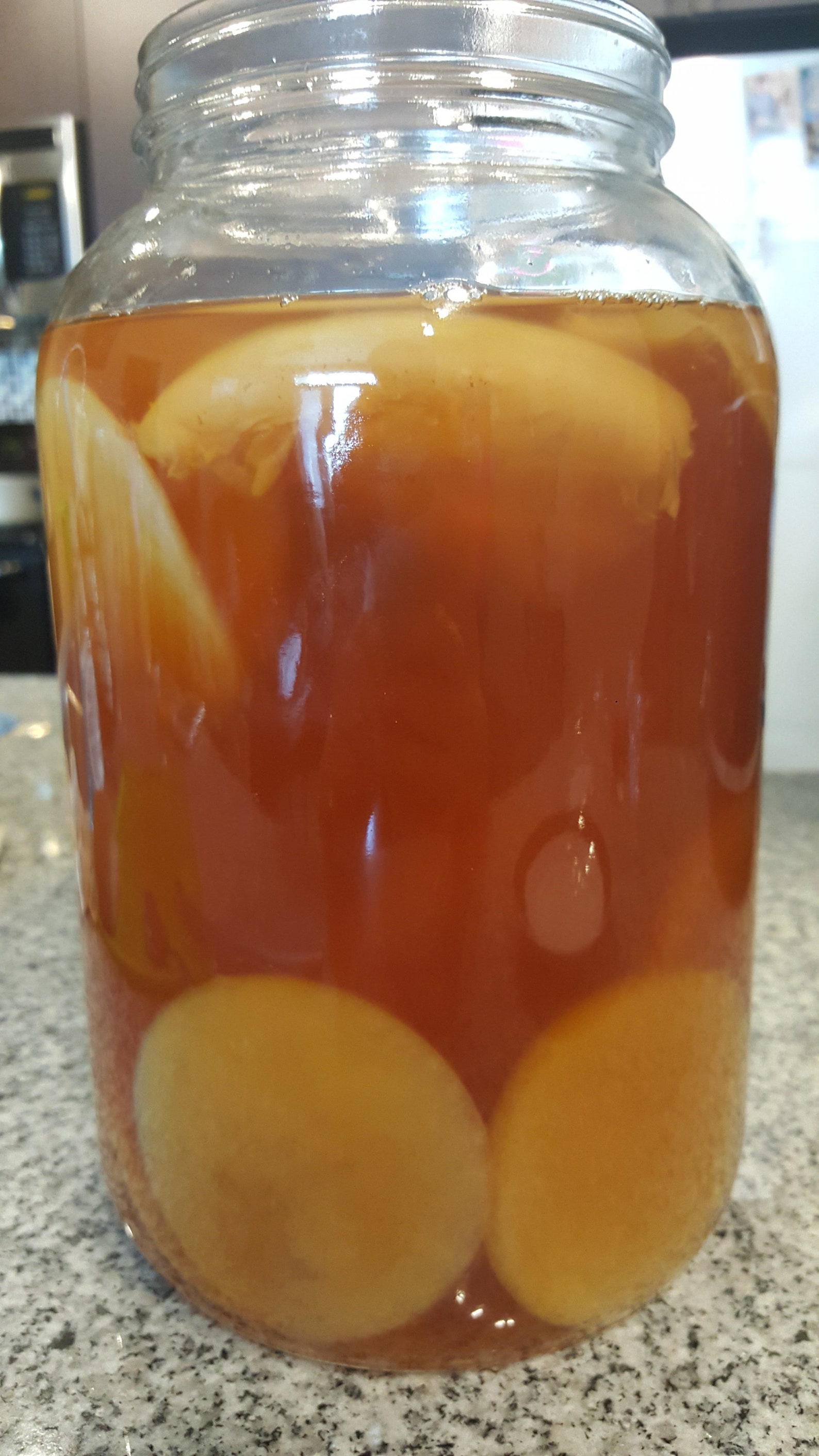 Kombucha SCOBY With Starter Tea, 1 Cup of Strong Starter Tea + SCOBY ...