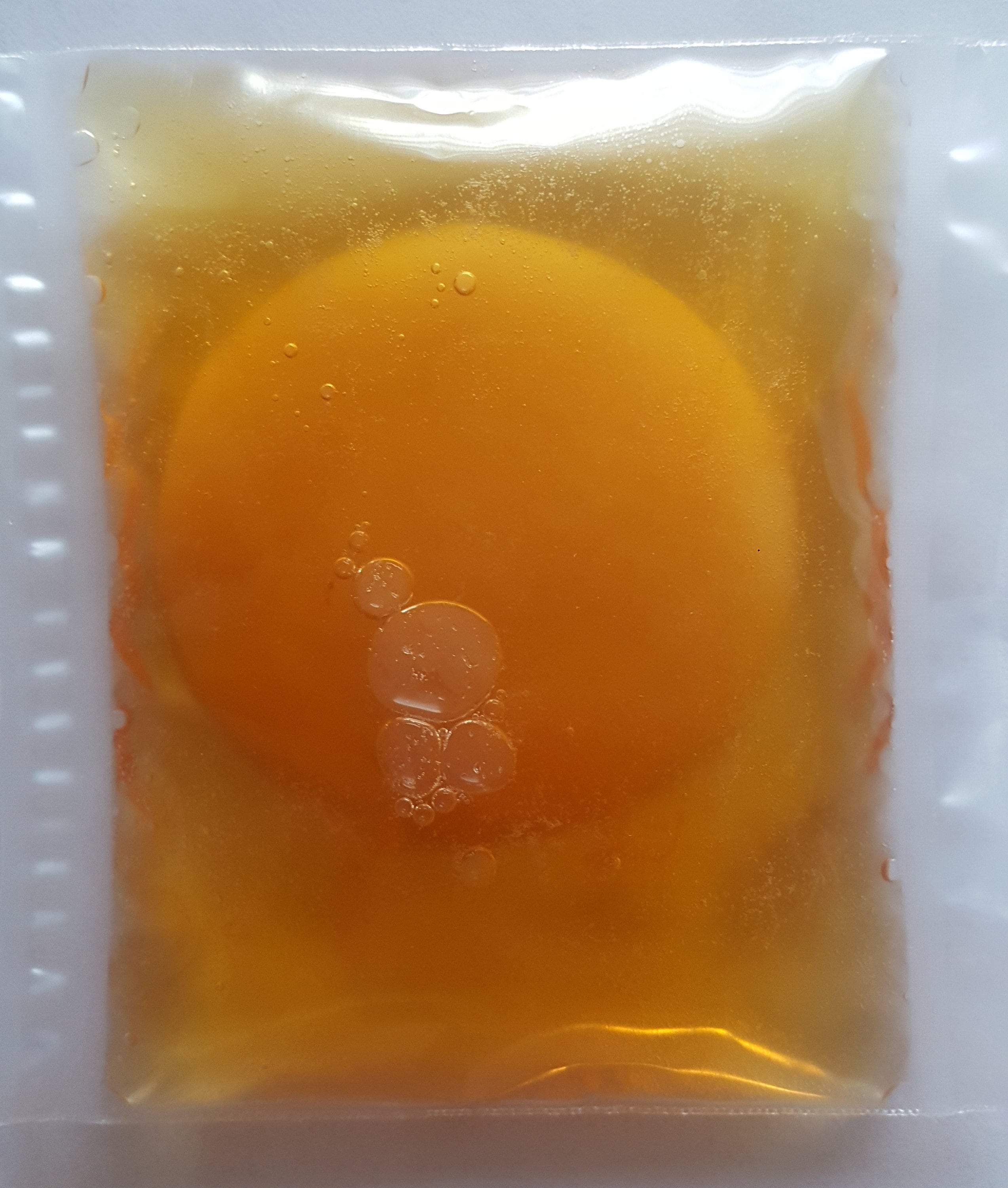 Kombucha SCOBY With Starter Tea, 1 Cup of Strong Starter Tea SCOBY ...