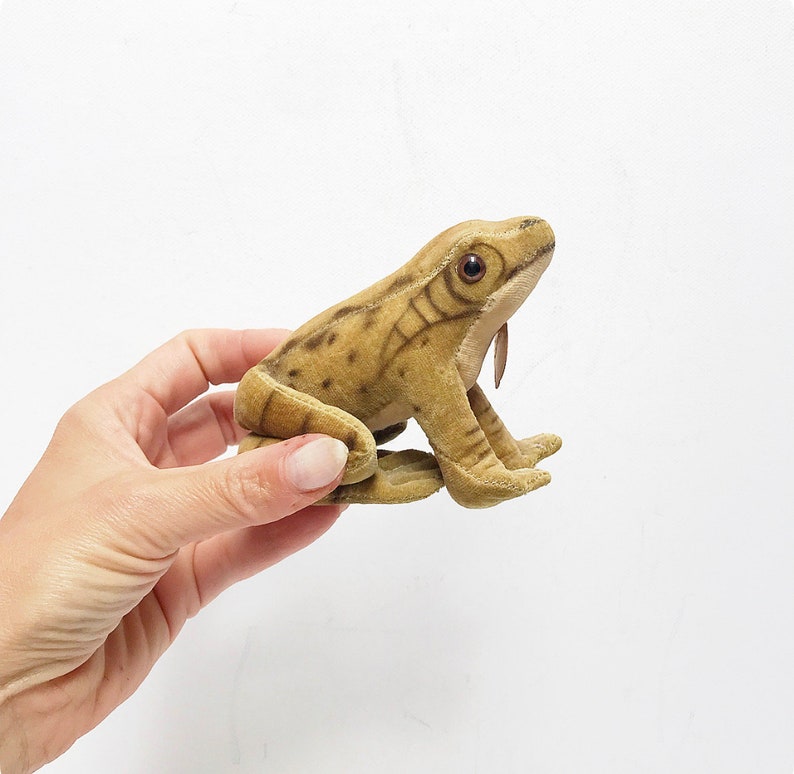 Vintage Steiff Plush Toy "froggy" Frog, Cuddly Toy, 1959 - 1967 - Etsy