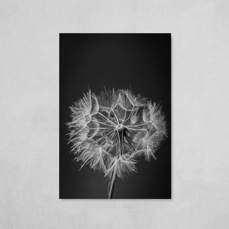 Dandelion photography Macro Photography Dandelion Print | Etsy