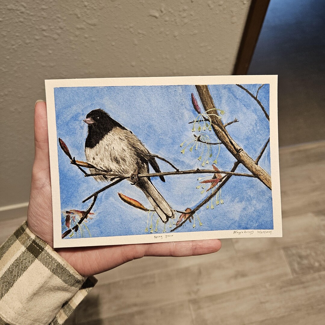 Spring Junco 5x7 Original Watercolor Painting on Watercolor Paper - Etsy
