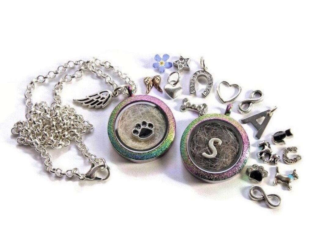 Rainbow Locket Necklace Self-filling Pet Hair Necklace Remembrance ...
