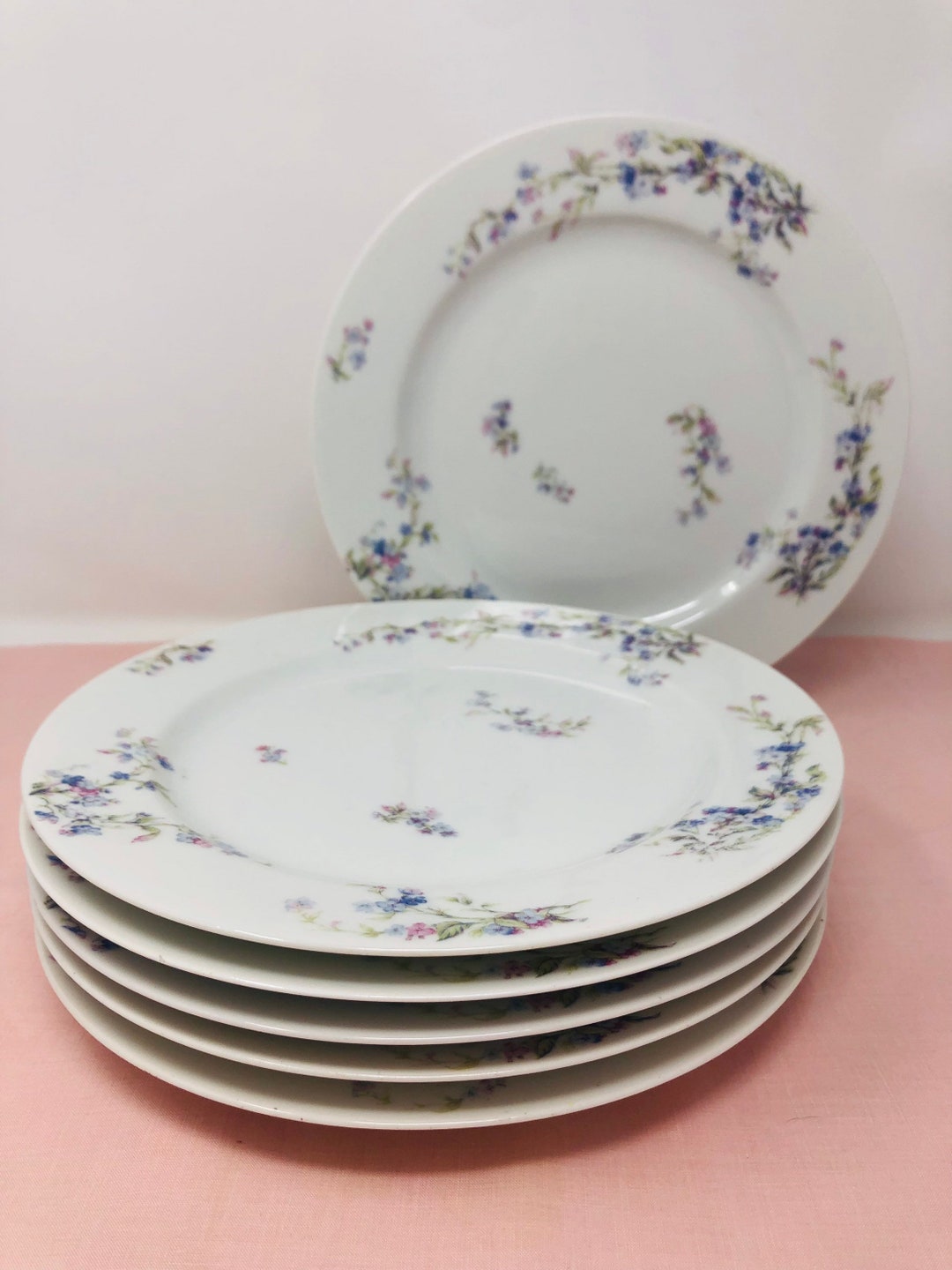 Haviland Dinner Plates Set of 6 Charles Field Haviland 714 Limoges ...