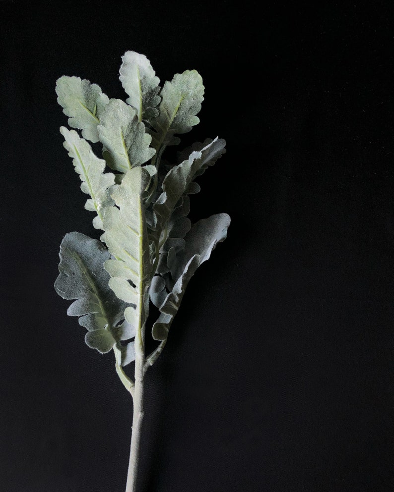 Ranunculus Sunflower Real Touch White Ivory Artificial Flower - Etsy