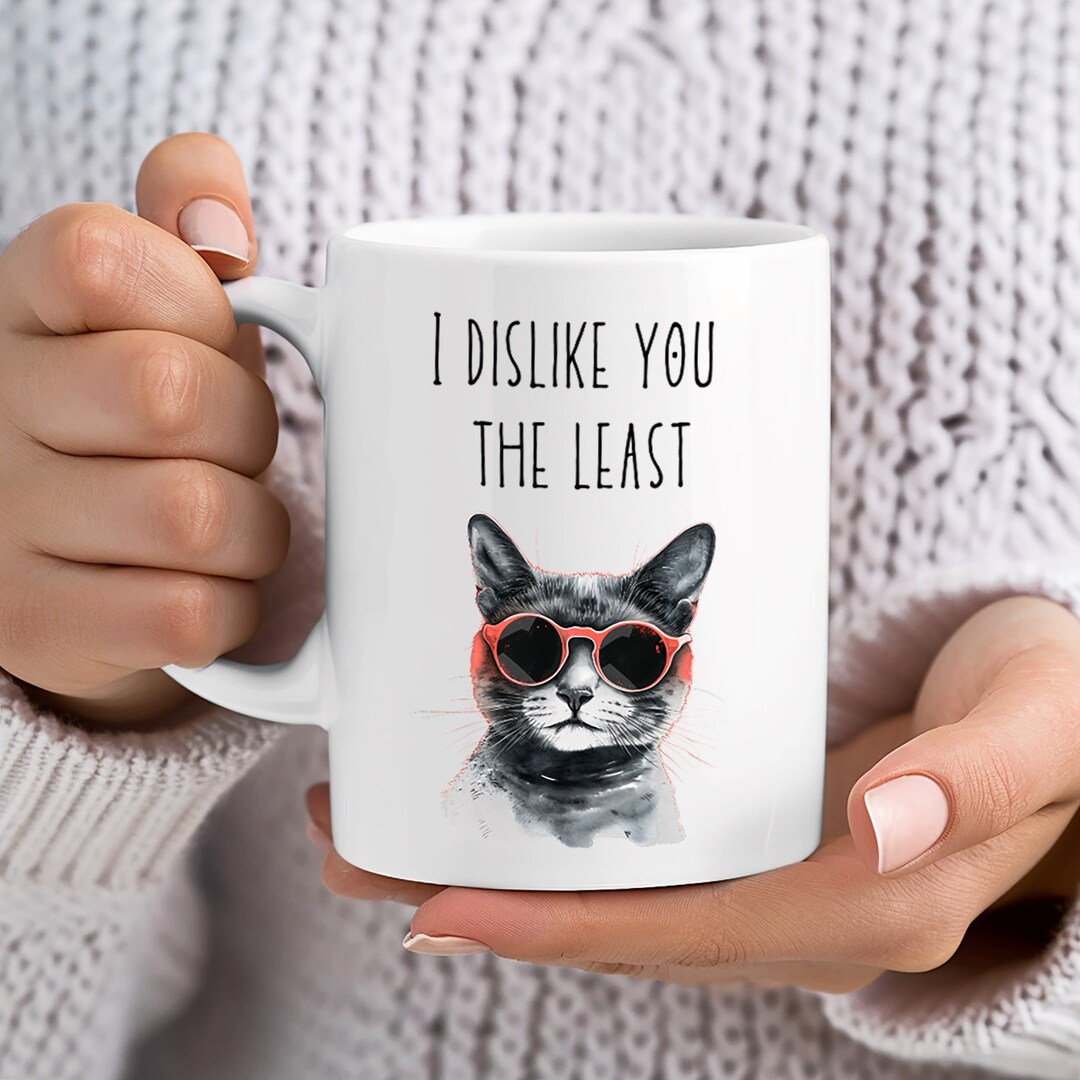 I Dislike You the Least Mug, Best Friend Gift, Gifts for Best Friend ...