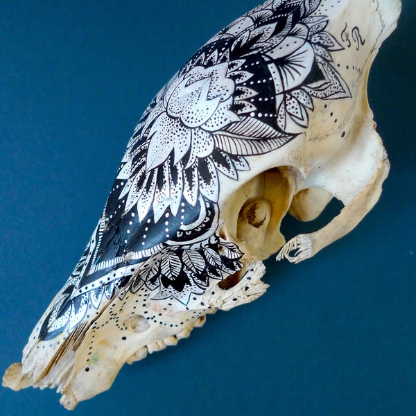 Painted Animal Skull - Etsy