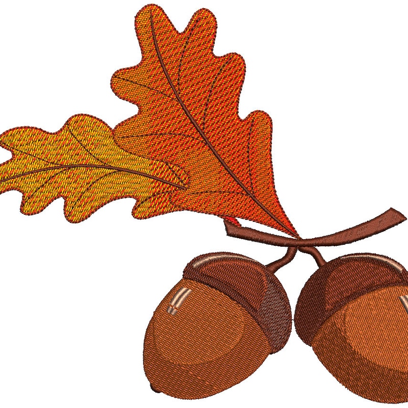 Acorn Embroidery - Etsy