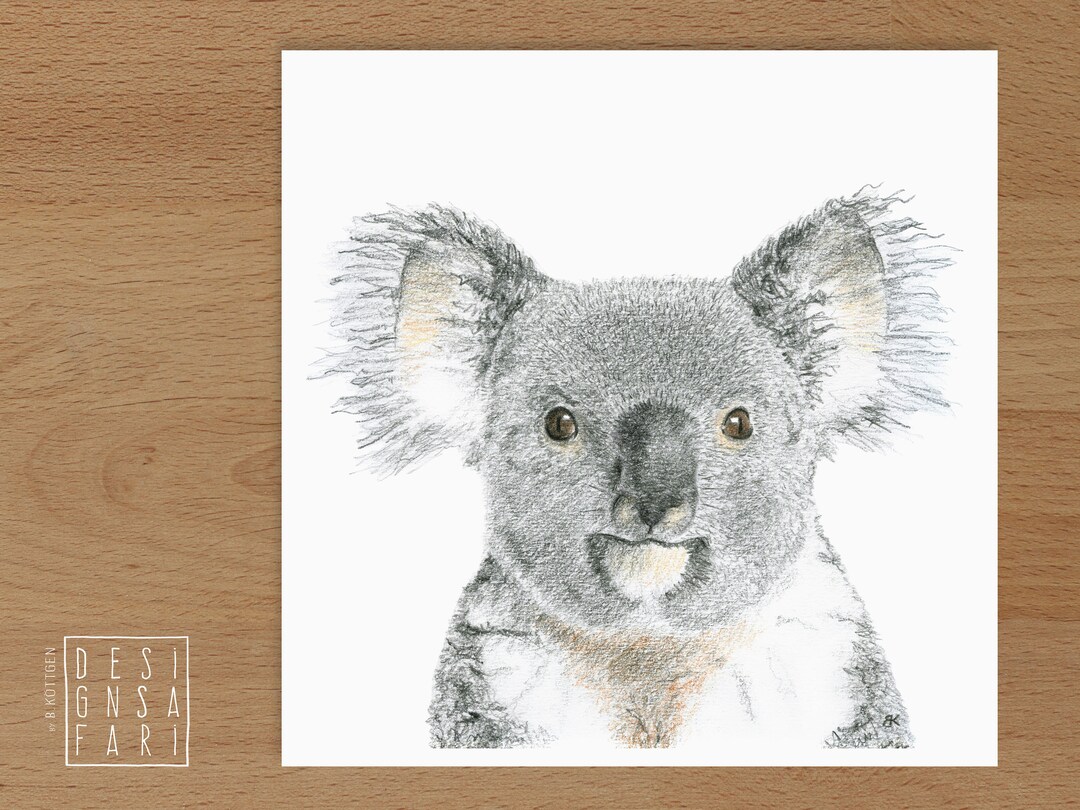 Mural 'animals in Portrait' koala - Etsy