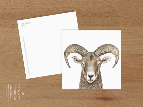 Map ' Animals in Portrait ' Mouflon | Etsy