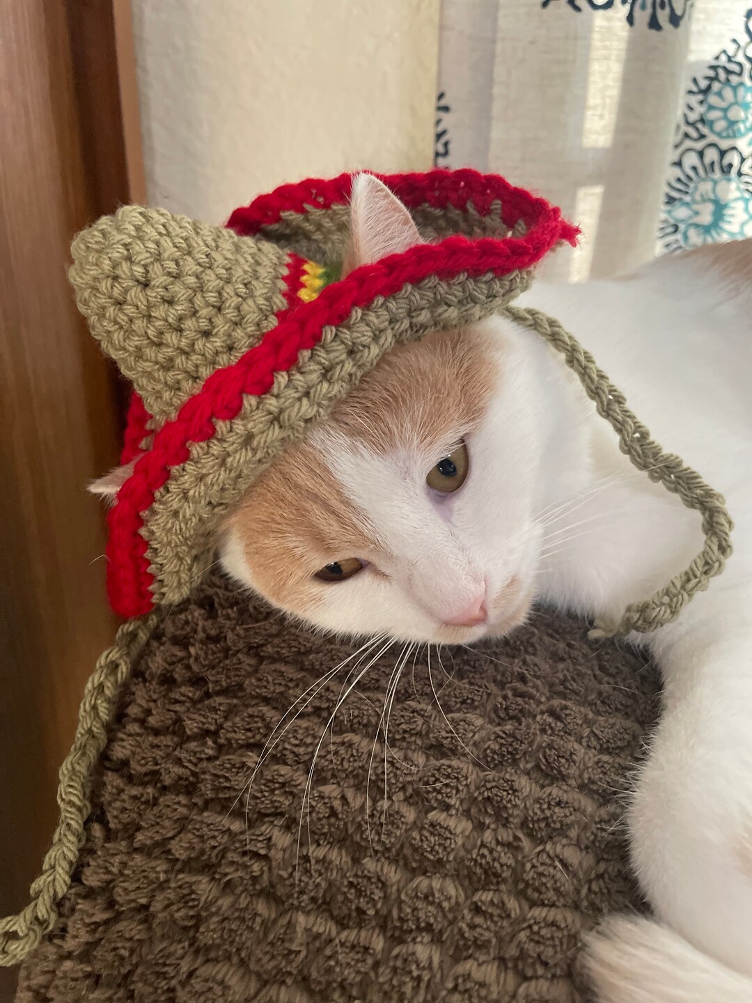 Sombrero Cat Hat (tan) - Etsy
