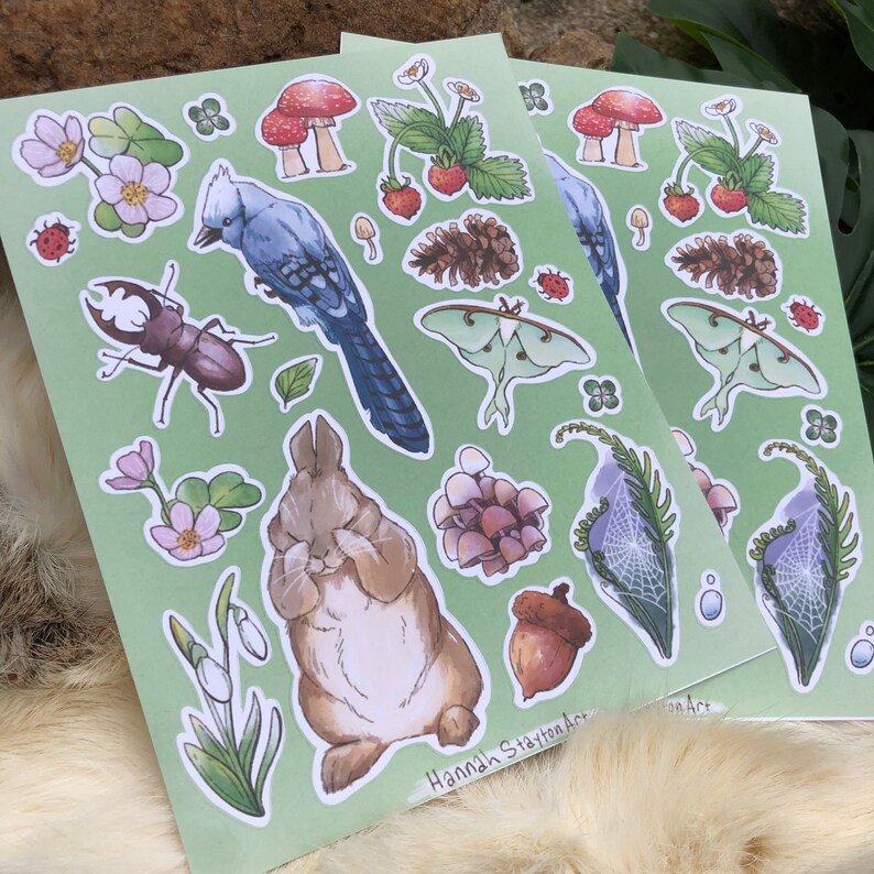 Woodland Watercolor Stickers - Etsy