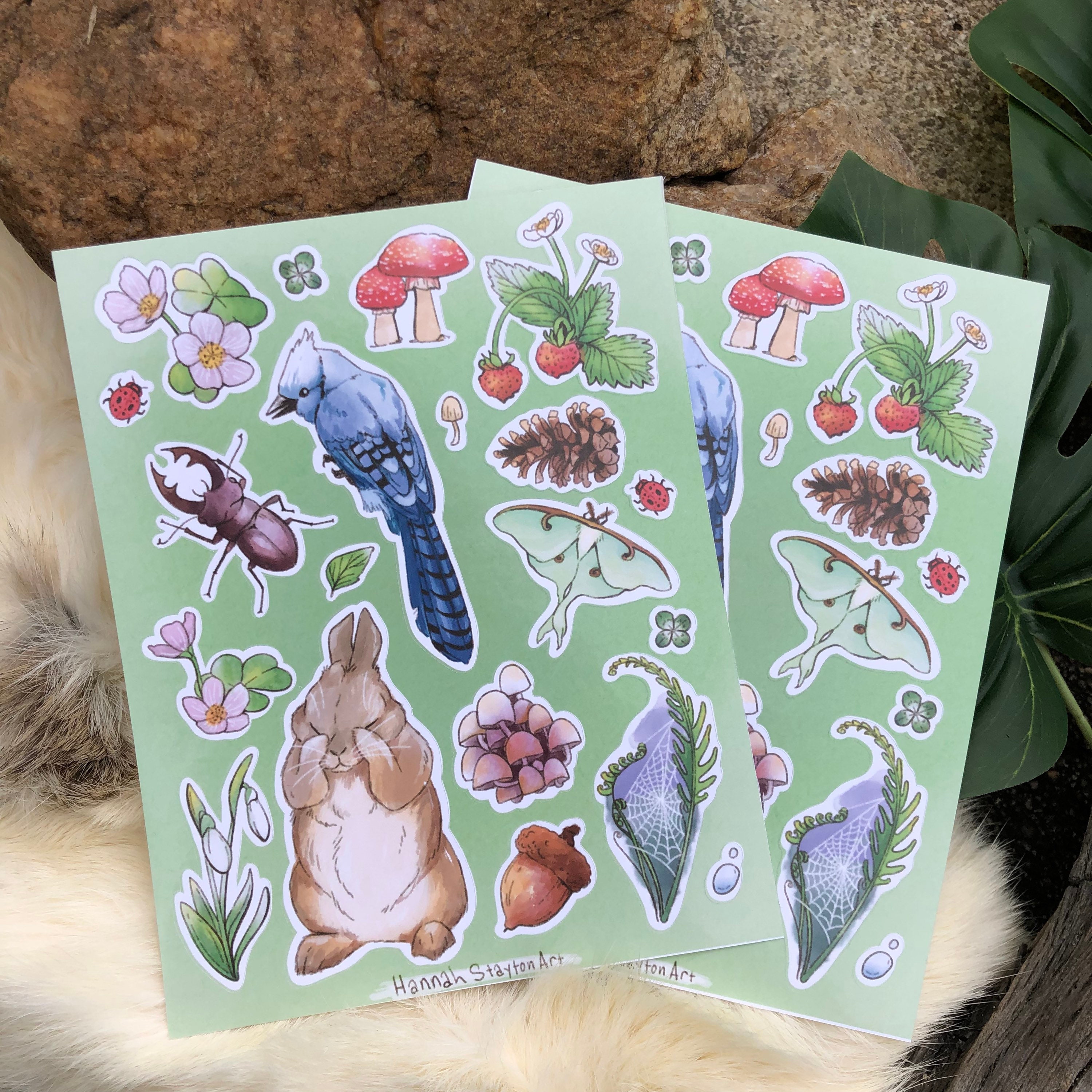 Woodland Watercolor Stickers - Etsy