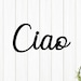 Ciao Sign Ciao Entryway Sign Hello Cursive Metal Word - Etsy
