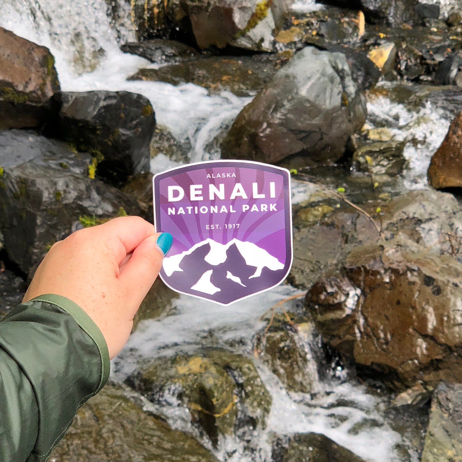 Denali National Park Sticker | Etsy