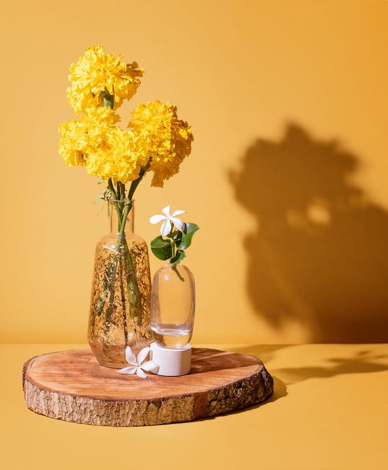 Marigold & Cedar Musk™ Fragrance Oil - Etsy